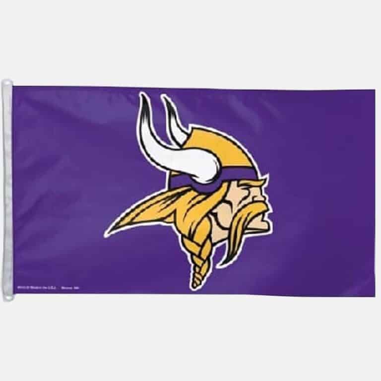Vikings Flag | Falls Flag Source